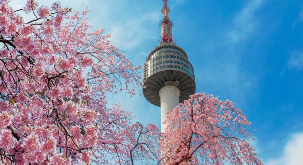 Luxury Trip Around South Korea in 12 Days - Realistic Asia