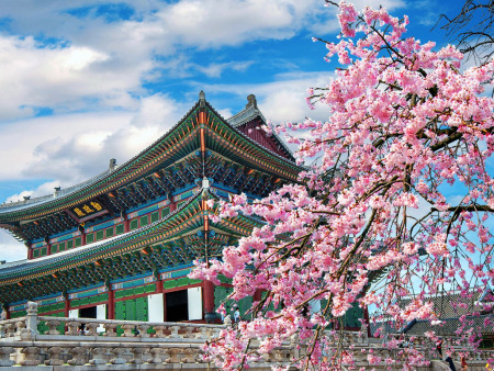 South Korea Culture Luxury in 10 Days - Realistic Asia